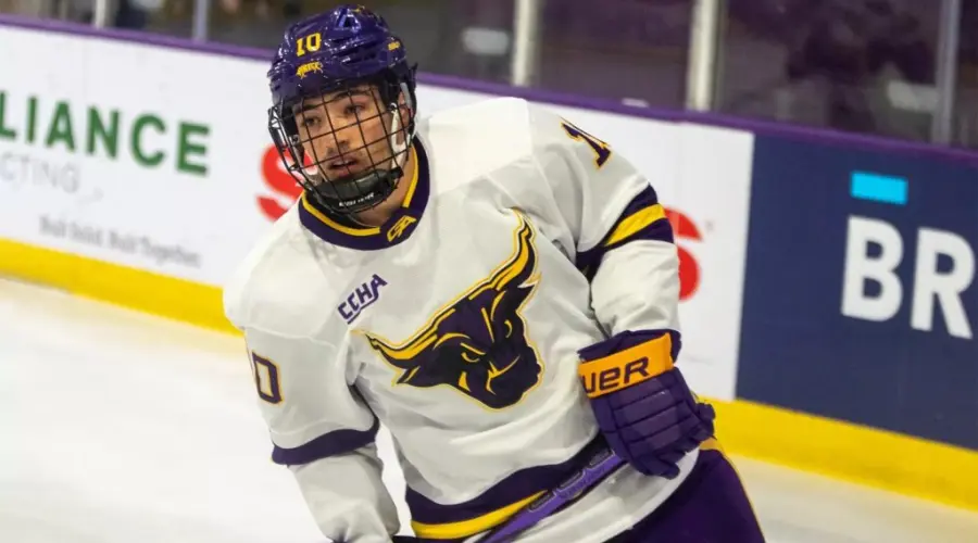 Minnesota State