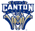 Team Logo